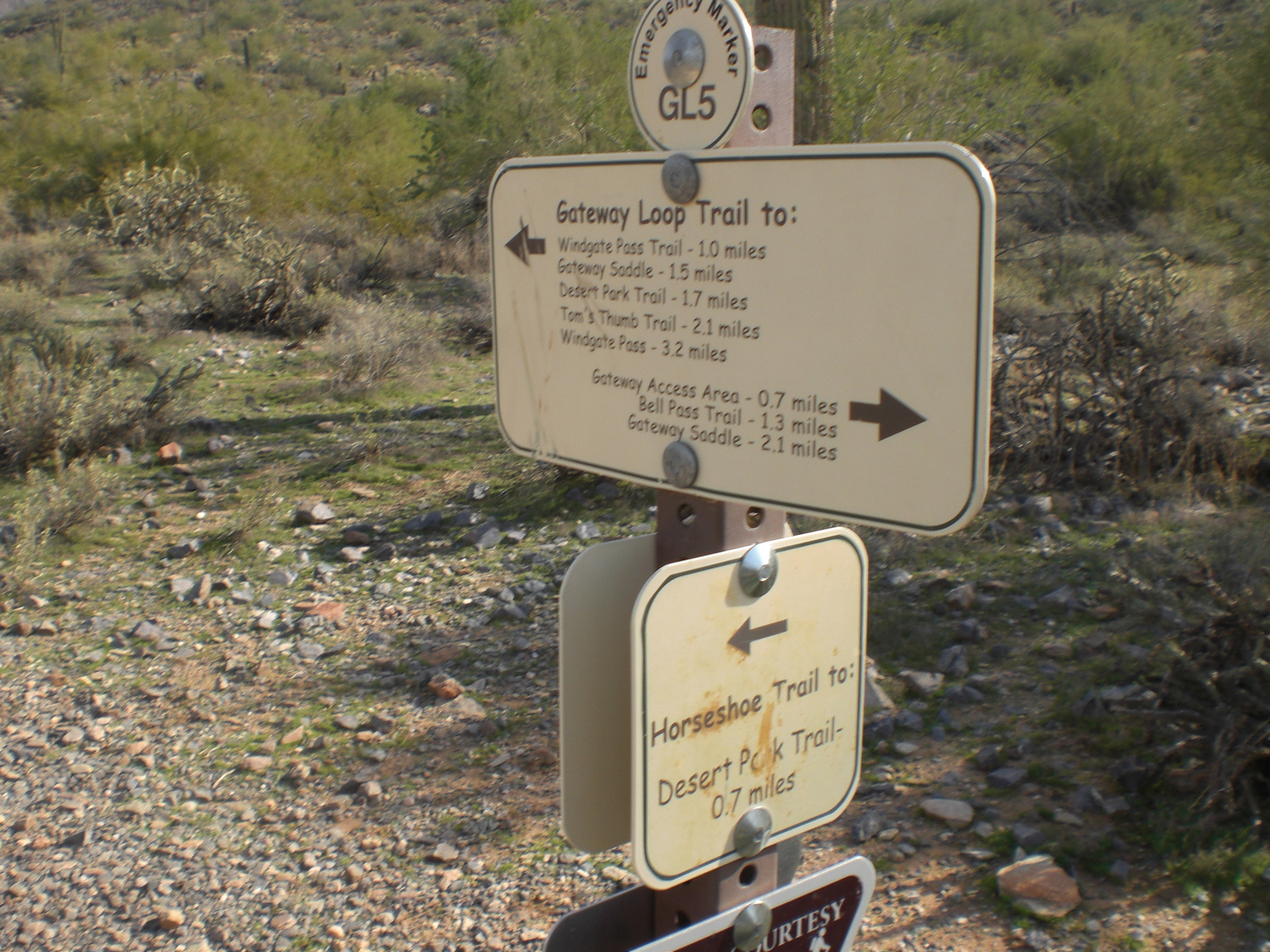Scottsdale Public Library