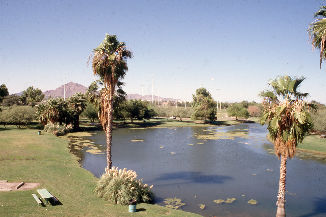 Scottsdale Public Library