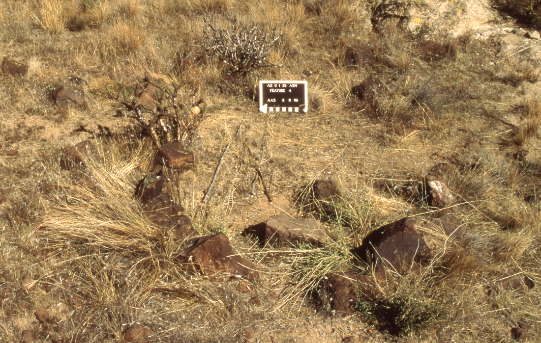 Scottsdale Public Library