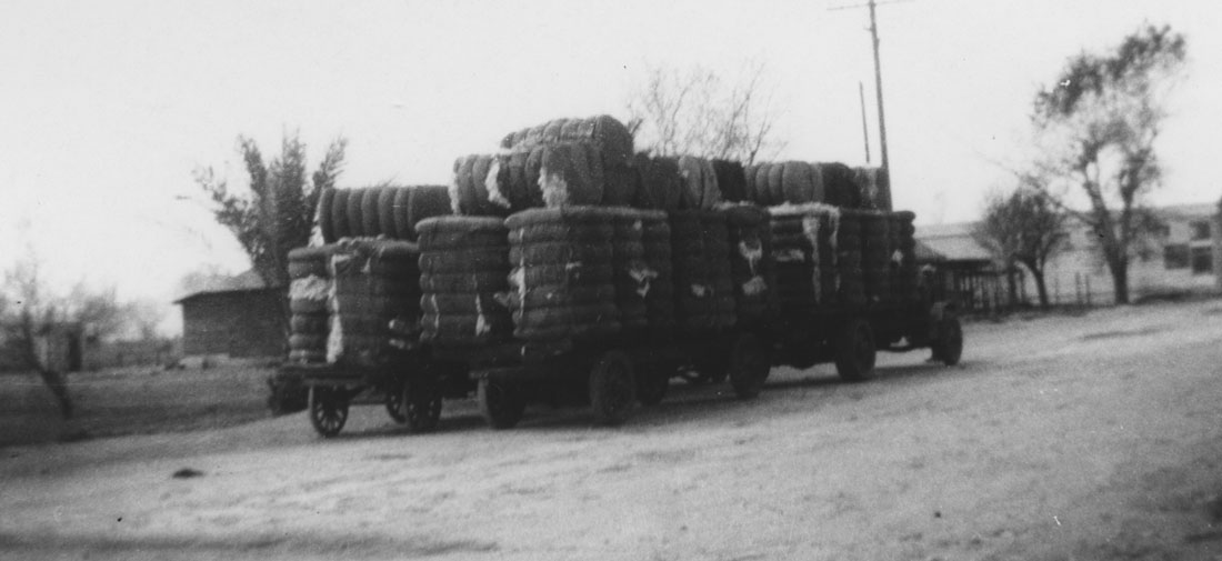 Scottsdale Public Library